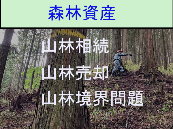 森林管理 (株)日本森林クリエイト